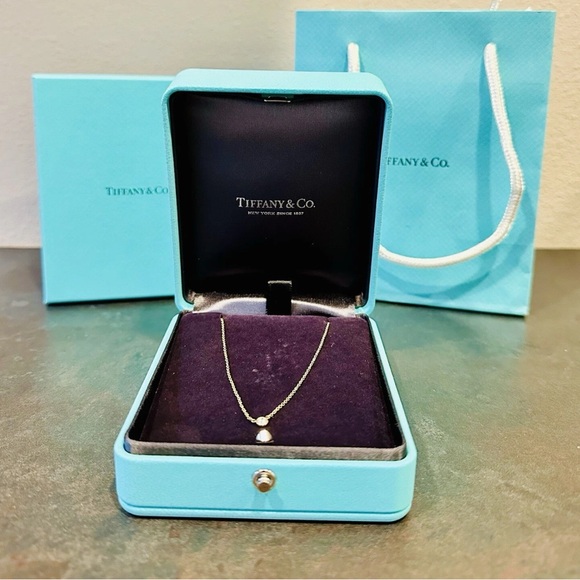 Tiffany & Co. | Jewelry | Tiffany Co Silver Necklace With Pendant ...